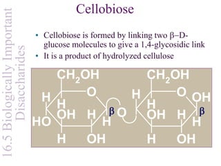 Carbohydrates, structure, functions and kinds | PPT