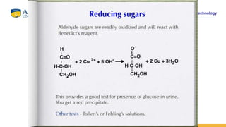 Carbohydrates and sugar . ....saccharides pptx | PPTX