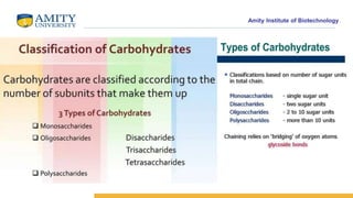Carbohydrates and sugar . ....saccharides pptx | PPTX