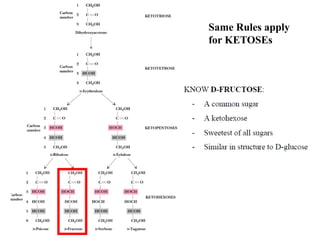 Carbohydrates principles of biochemistry | PDF