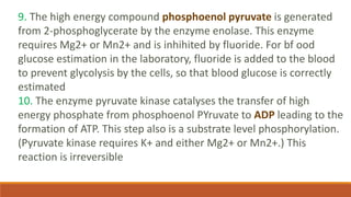 Carbohydrates + Glycolysis + Formation | PPT