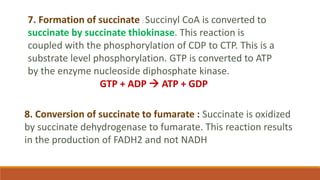 Carbohydrates + Glycolysis + Formation | PPTX