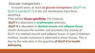 Carbohydrates + Glycolysis + Formation | PPTX