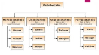 Carbohydrates, classification of carbohydrates.pptx