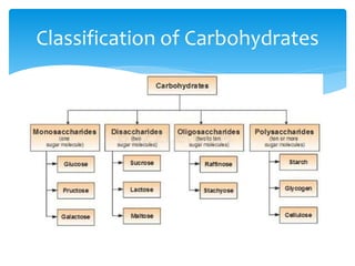 Carbohydrates and Classification of Carbohydrates | PDF
