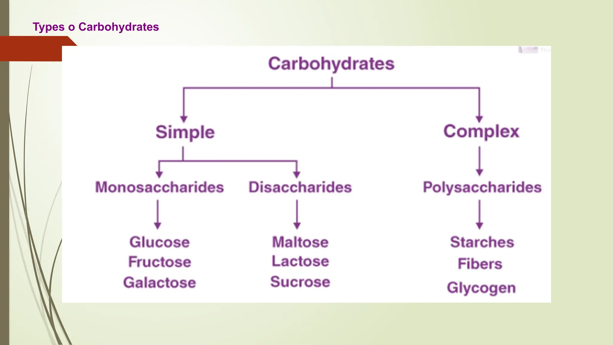 CARBOHYDRATES. Biology for civil Engineering | PPTX