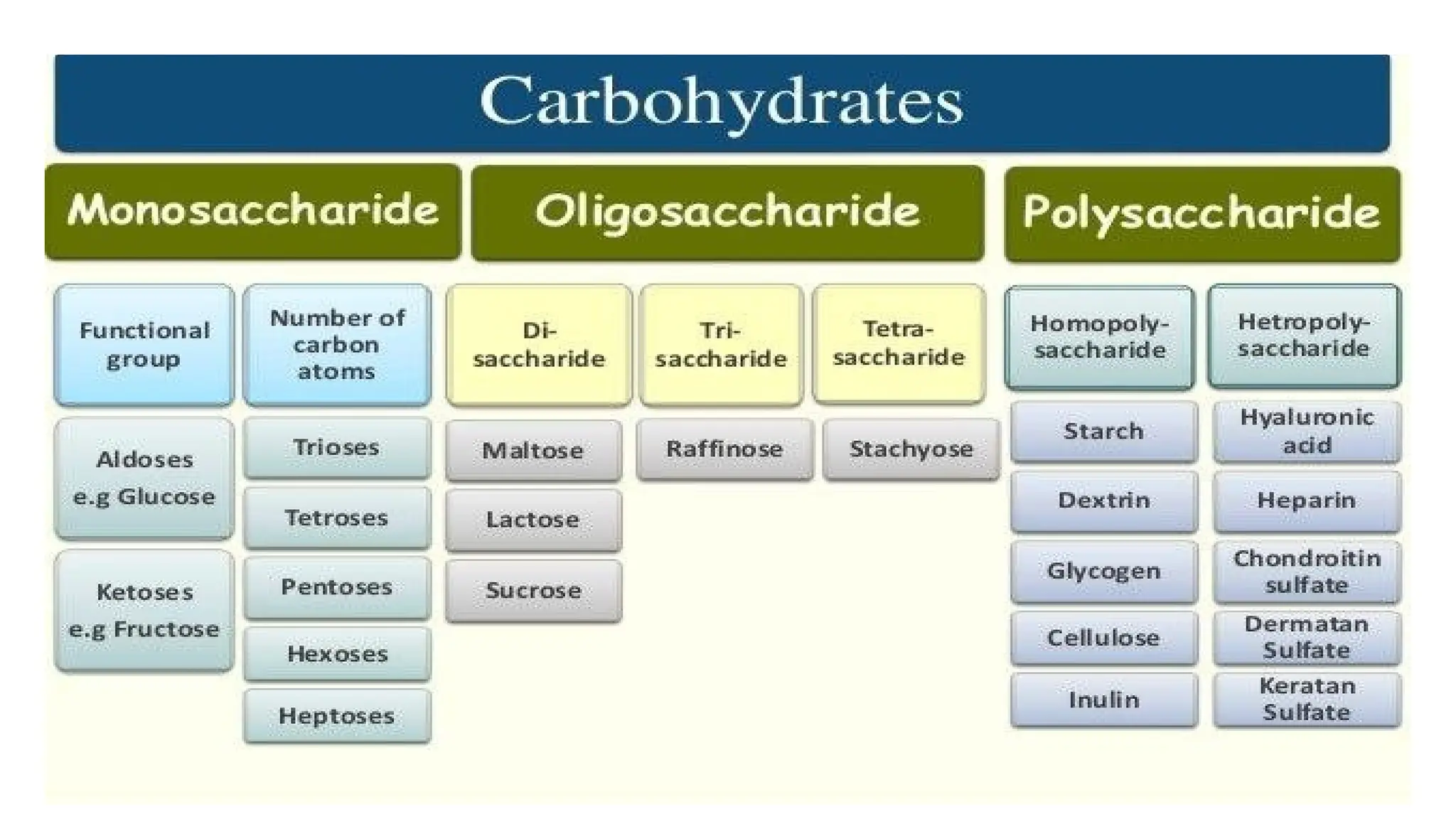 Carbohydrates and it's classification and nutritional importance in ...