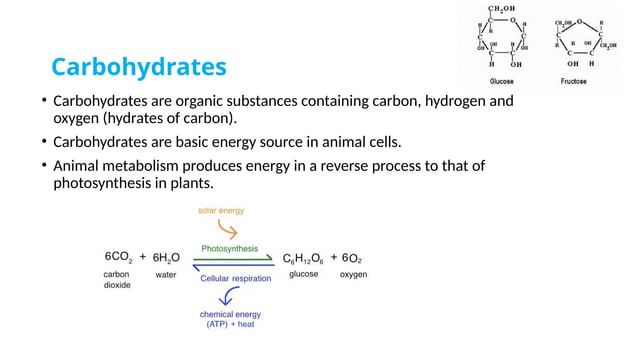Carbohydrates and it's classification and nutritional importance in ...