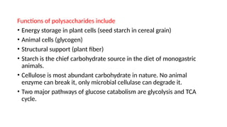 Carbohydrates and it's classification and nutritional importance in ...