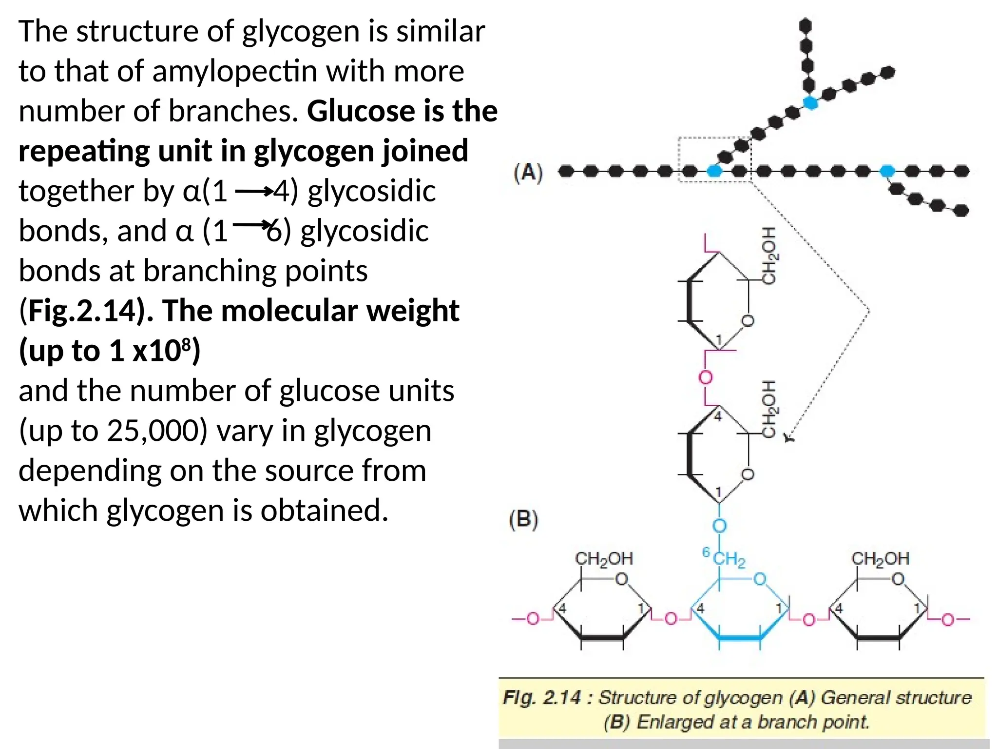 Carbohydrate is a biomolecule, primarily composed of the elements of ...