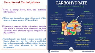 Basics of Carbohydrates (Sugars) presentation | PPT