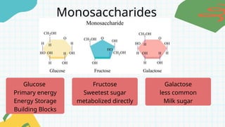Carbohydrates are sugars, starches, and fibers. They are the body's ...