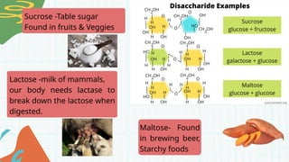 Carbohydrates are sugars, starches, and fibers. They are the body's ...