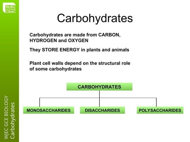 Carbohydrates - its structure, usage and importance to living organisms.ppt