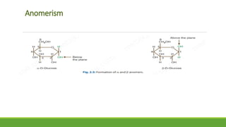 Carbohydrates.pptx.classification of carbohydrates | PPTX