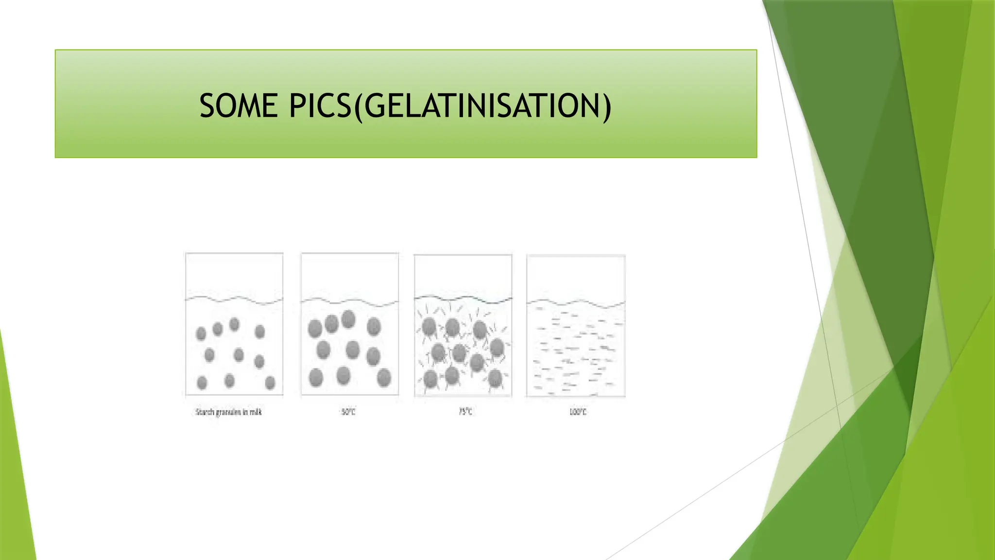 carbohydrates FOR HOTEL MANAGEMENT .pptx