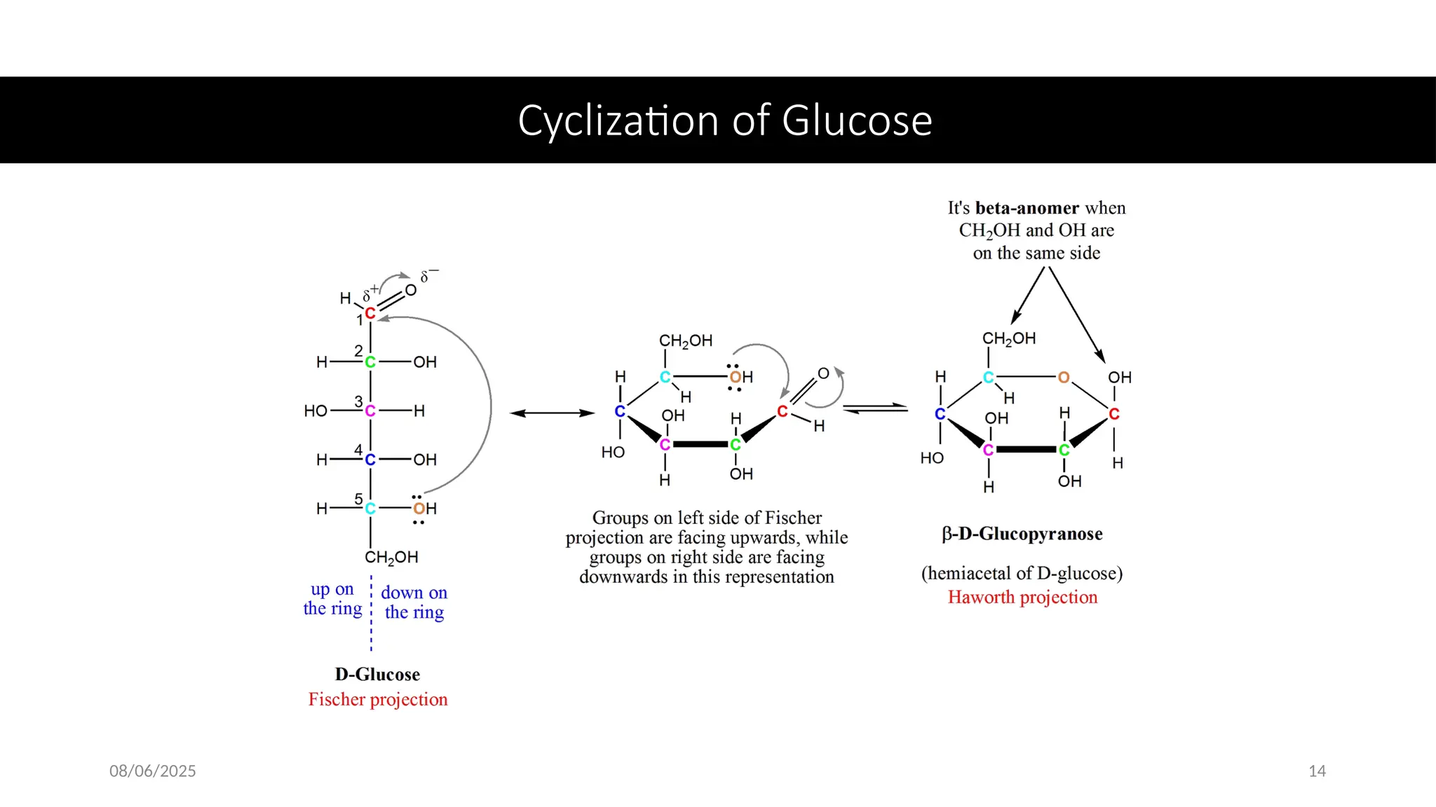 Carbohydrates Structure and functions- Biochemistry PPT for Students ...