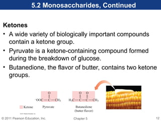 Carbohydrates and its role in biological system | PPT