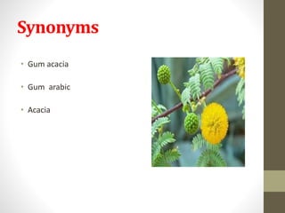 Carbohydrates acacia trgacantha | PPTX | Dental Health | Diseases and ...