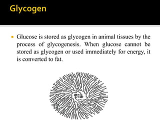 Carbohydrates chemical structure | PPTX