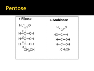 Carbohydrates chemical structure | PPTX