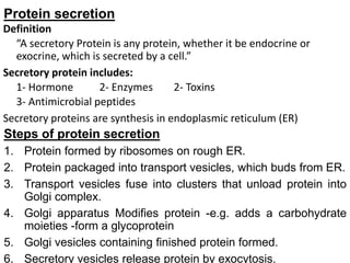 Protein and its different aspects. | PPT