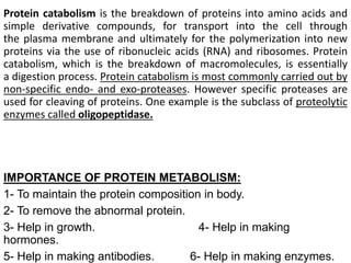 Protein and its different aspects. | PPT