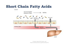 Carbohydrates digestion, aborption, metabolism & storage | PPTX