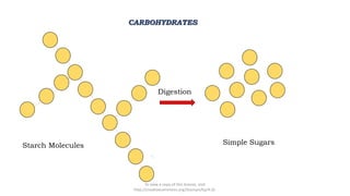 Carbohydrates digestion, aborption, metabolism & storage | PPTX