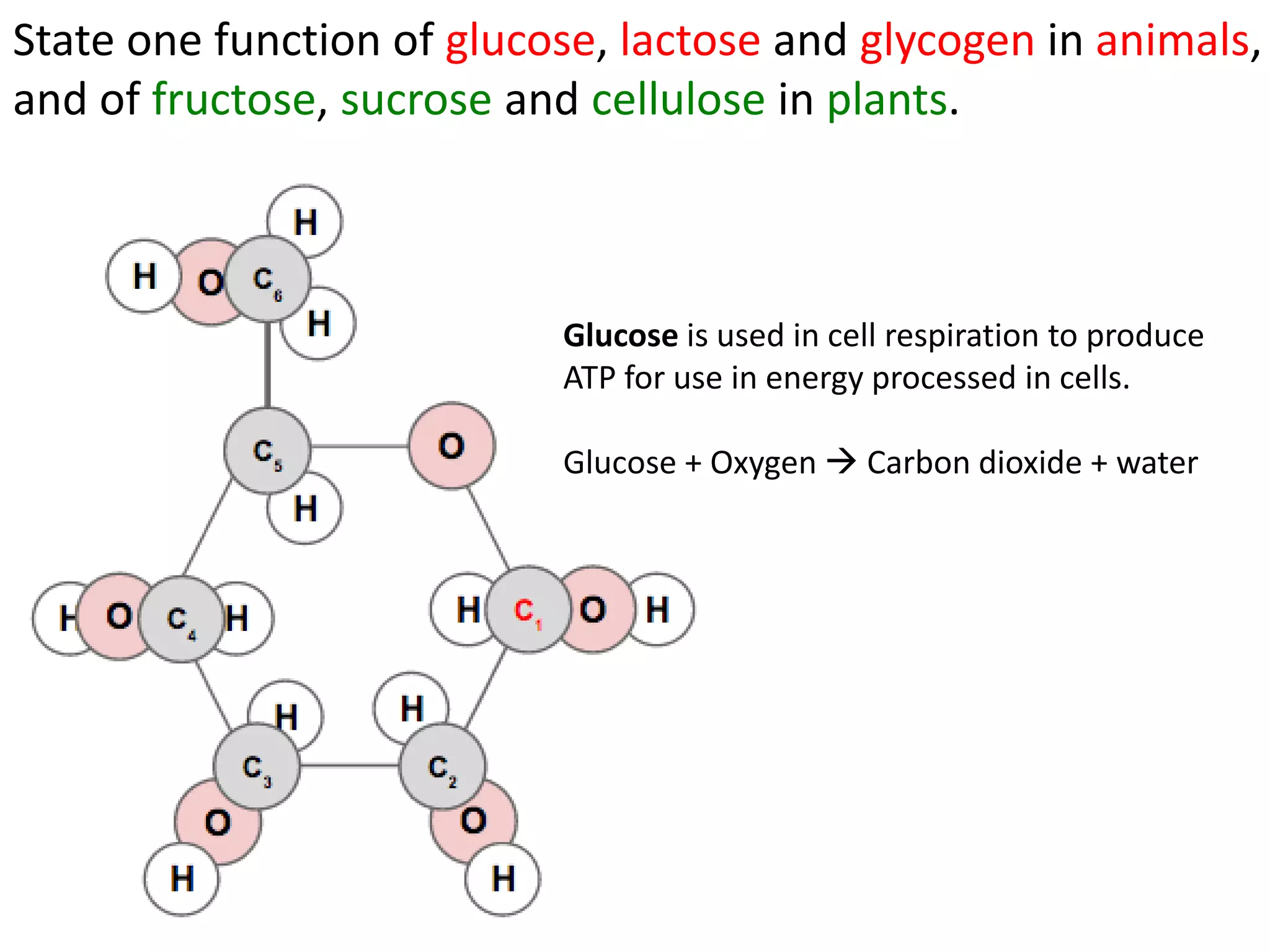 Carbohydrates, Lipids and Proteins | PPTX
