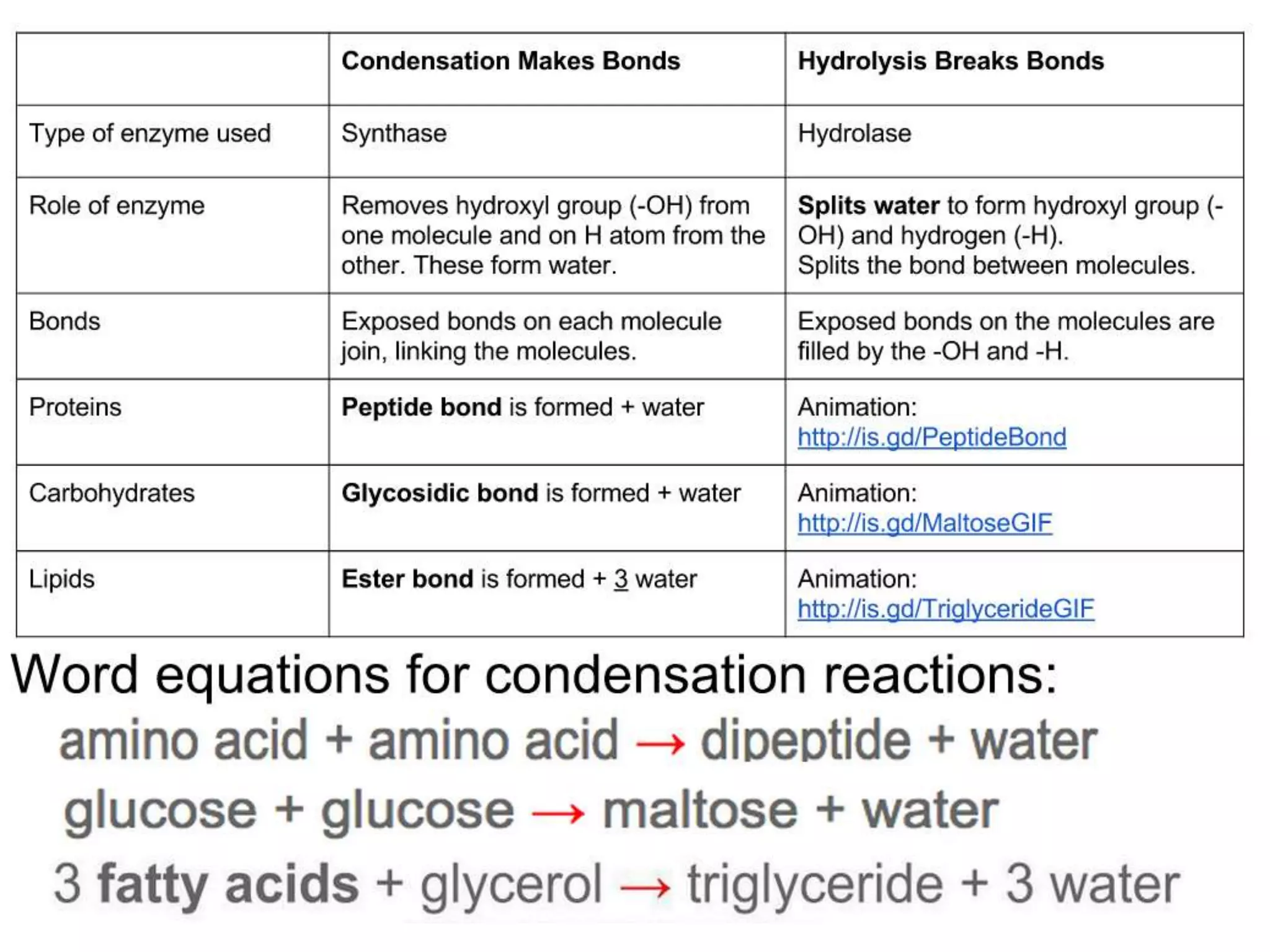 Carbohydrates, Lipids and Proteins | PPTX