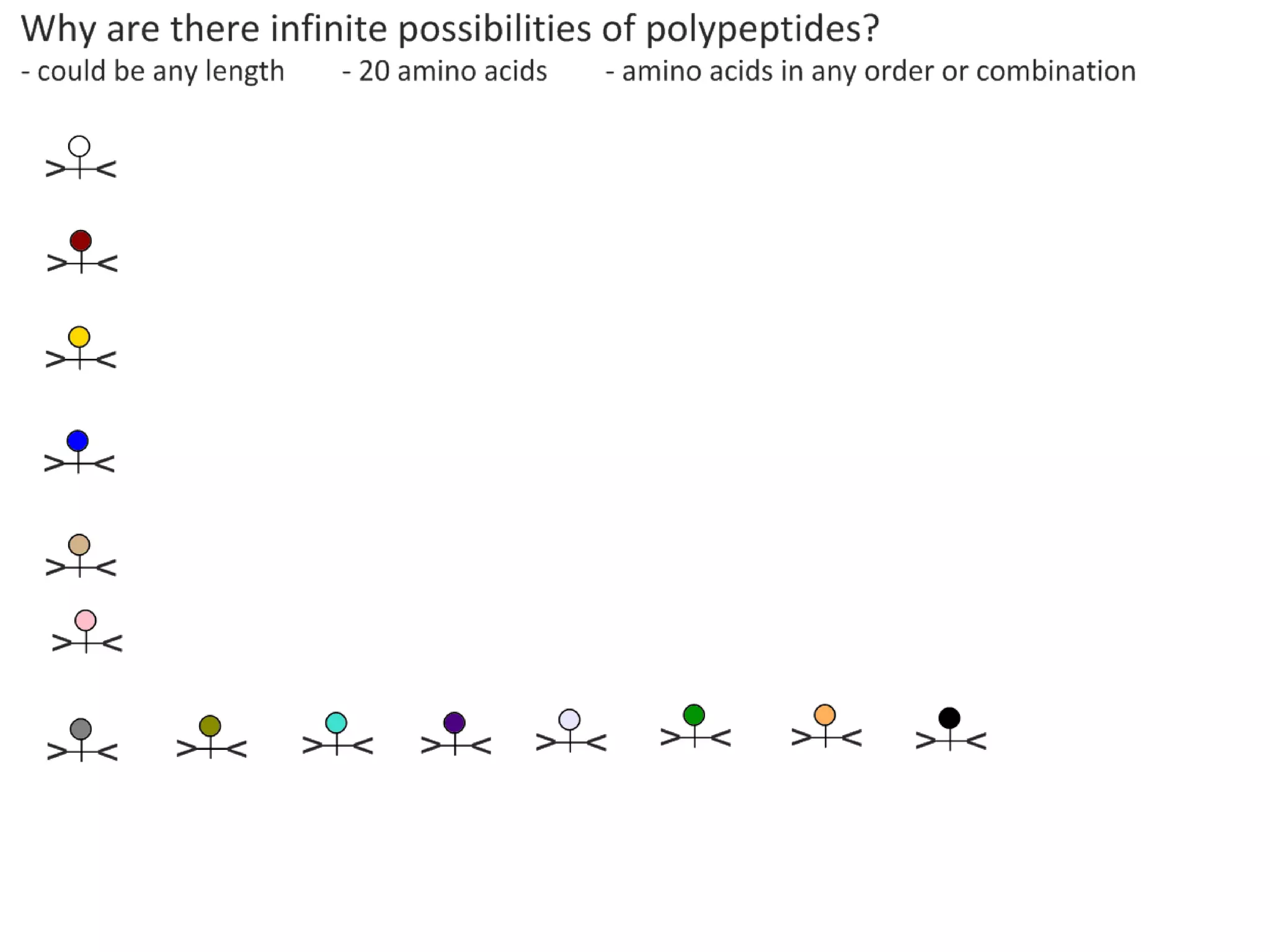 Carbohydrates, Lipids and Proteins | PPTX