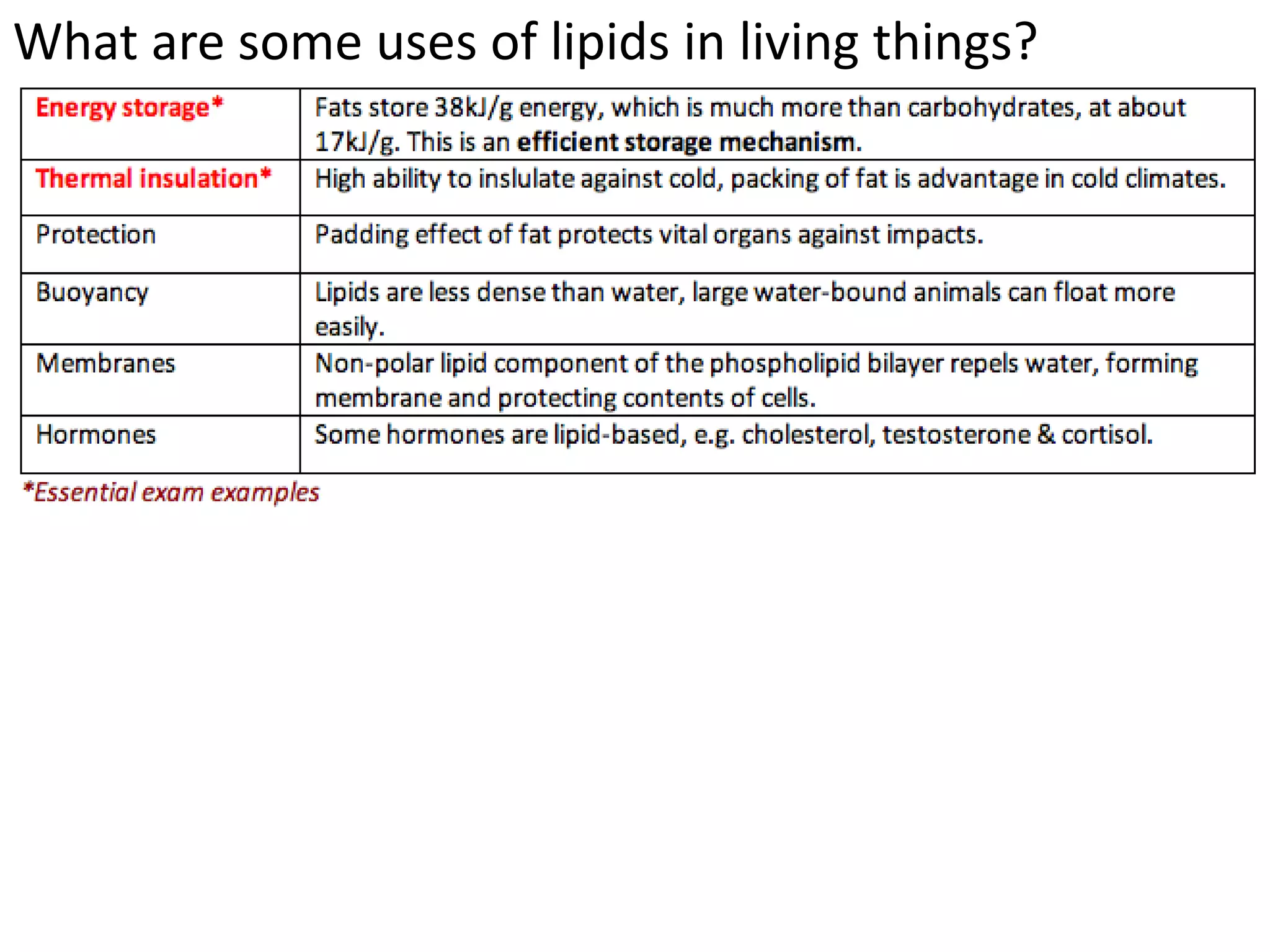 Carbohydrates, Lipids and Proteins | PPTX