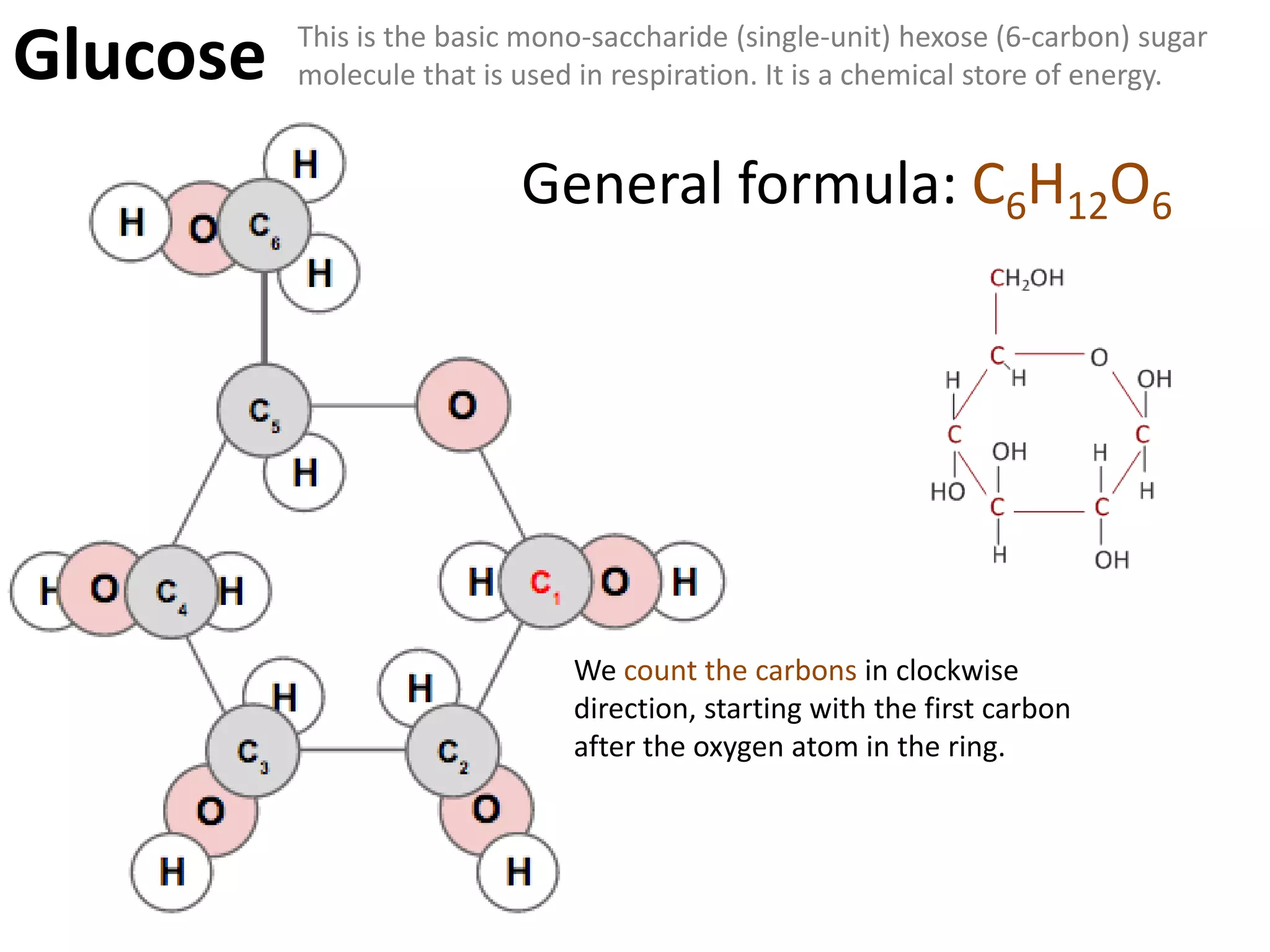 Carbohydrates, Lipids and Proteins | PPTX
