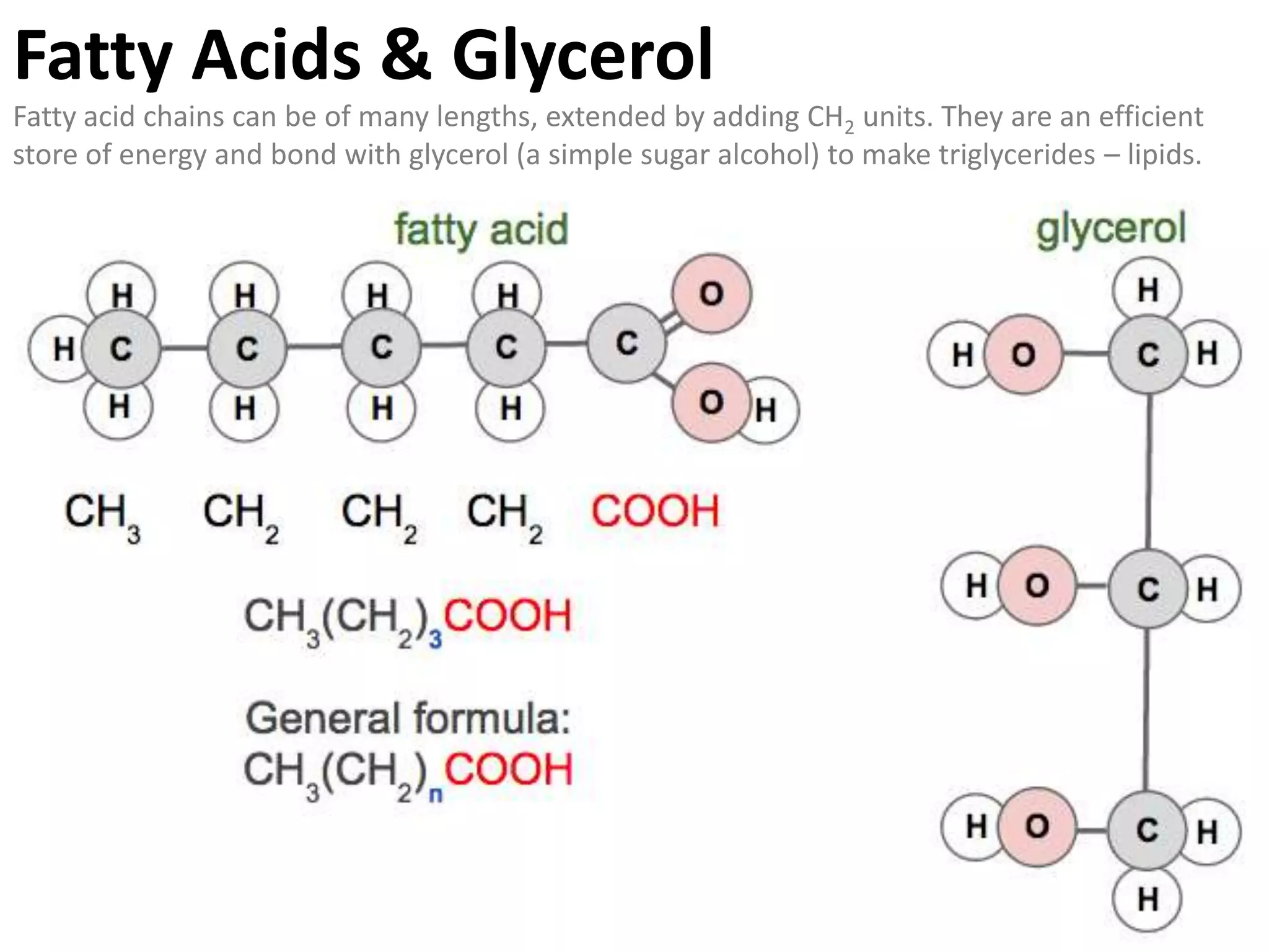 Carbohydrates, Lipids and Proteins | PPTX