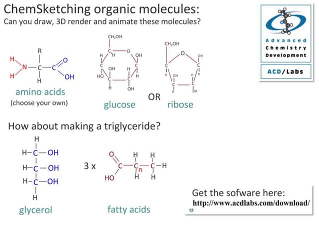 Carbohydrates, Lipids and Proteins | PPTX | Chemistry | Science