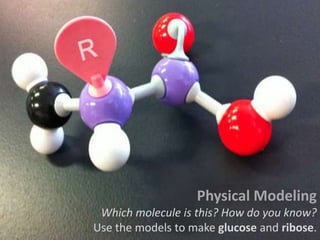Carbohydrates, Lipids and Proteins | PPTX