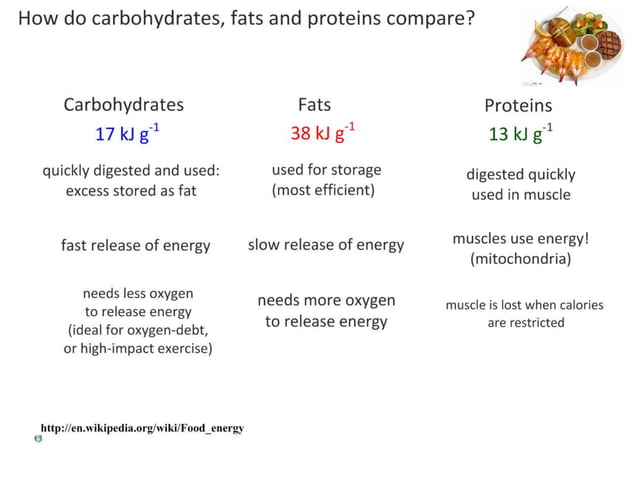 Carbohydrates, Lipids and Proteins | PPTX | Chemistry | Science