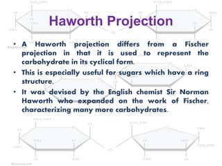 Carbohydrates structure | PPTX