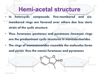 Carbohydrates structure | PPTX