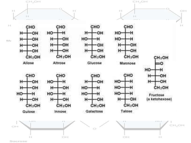 Carbohydrates structure | PPTX | Chemistry | Science