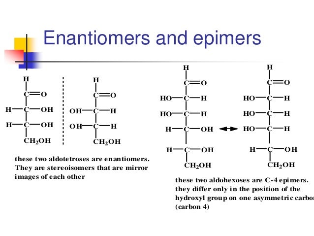 Carbohydrates summary