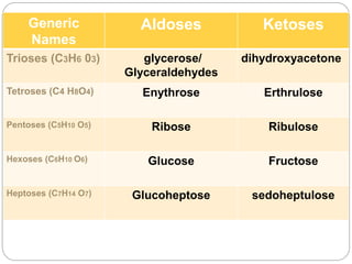 Carbohydrates | PPTX