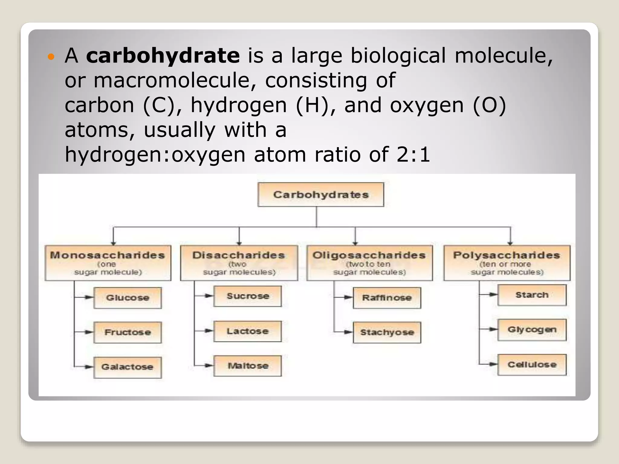 Carbohydrates (1) | PPTX