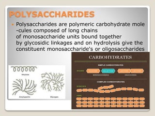 Carbohydrates (1) | PPTX