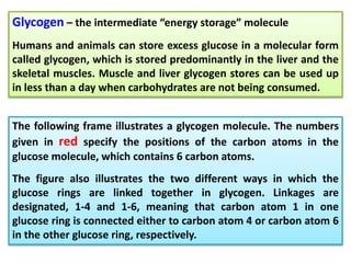 An Examination of Carbohydrates in the Diet. | PPTX