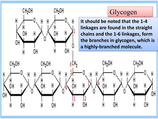 An Examination of Carbohydrates in the Diet. | PPT