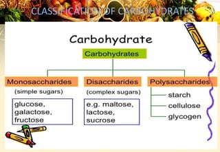 Carbohydrates | PPT