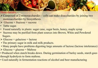 Carbohydrates | PPTX | Chemistry | Science