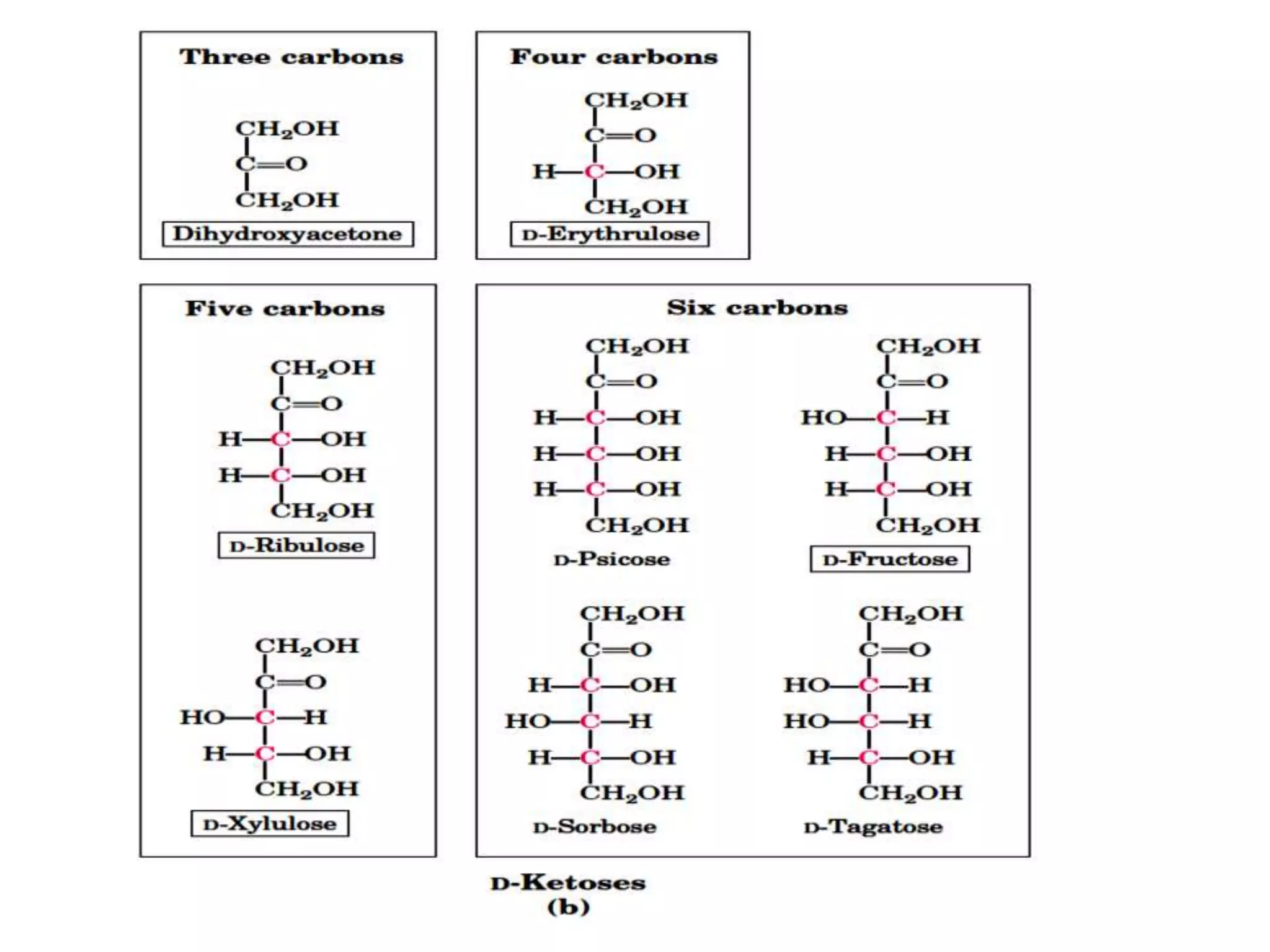 Carbohydrates: Monosaccharides- structure and function | PPTX